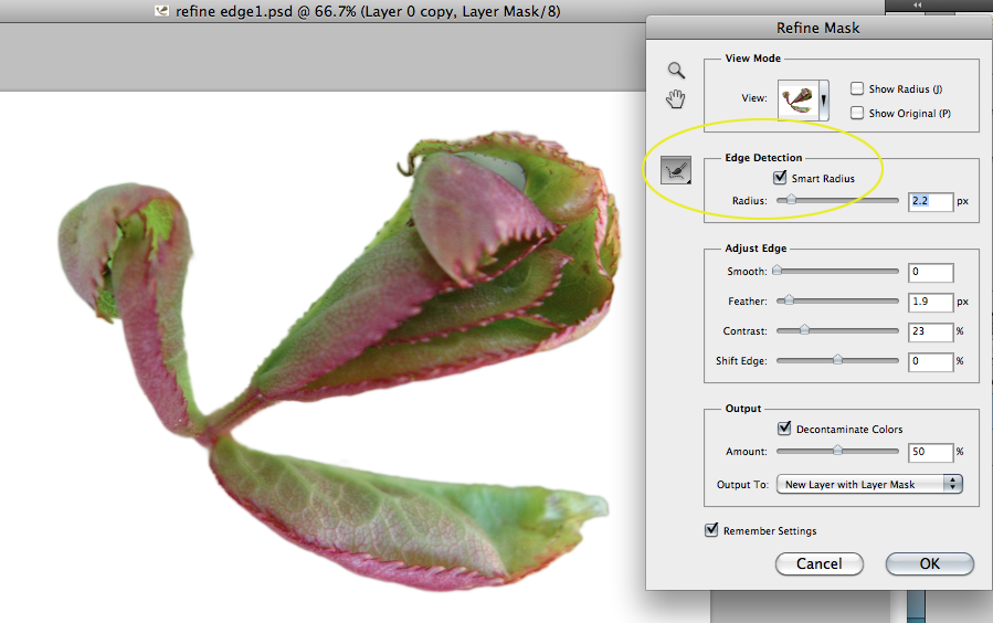Adobe CS5: Photoshop - Vancouverscape