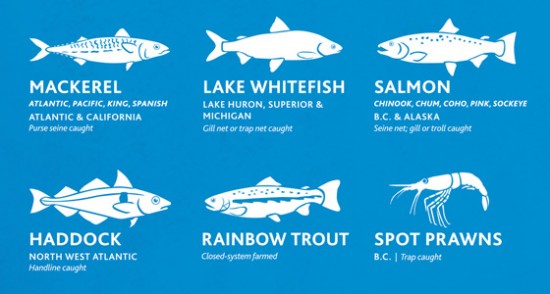 Celebrate With Sustainable Seafood Events During Ocean Wise Month ...