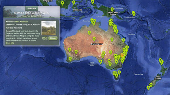 Listen to Nature Sounds From Around the Globe with Nature Soundmap ...